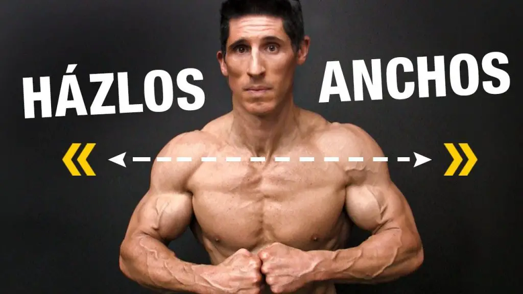 Ejercicios para ayudar a construir un músculo magro en sus hombros ...